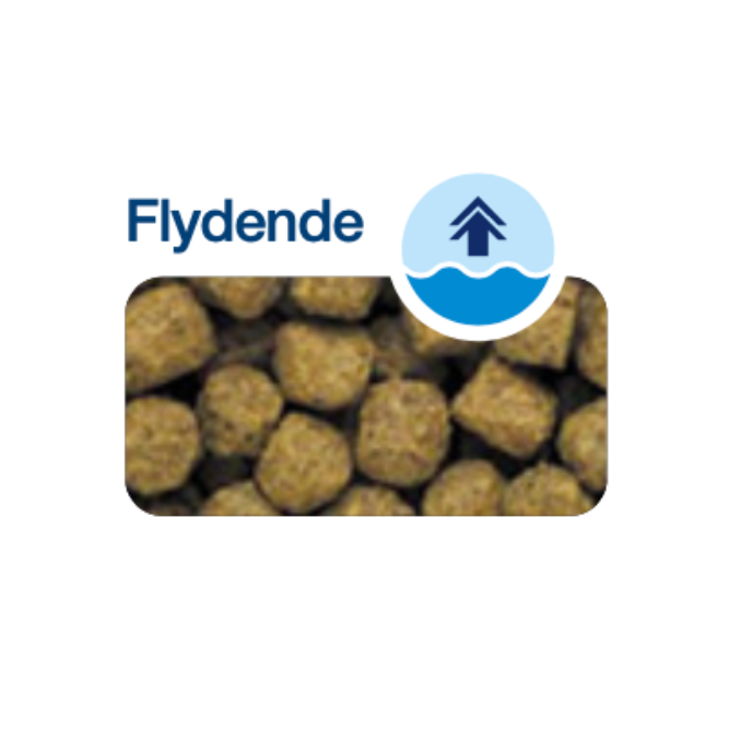 Hikari Silkworm Selects